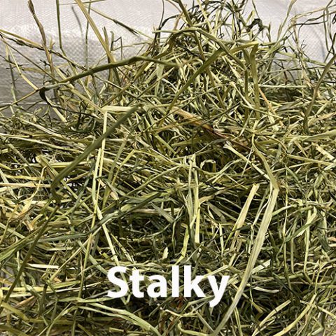 Home - Dust Free Hay